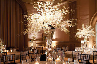 All Party Decorations & Supplies | TableclothsFactory