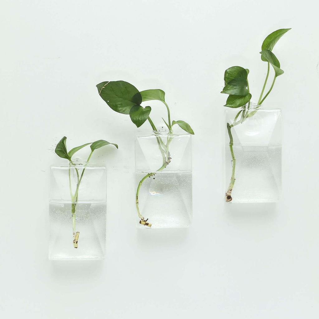 Clear Glass Trapezoid Wall Vases | TableclothsFactory