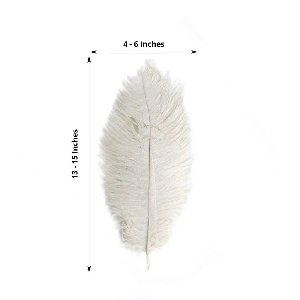 Ivory Ostrich Feathers 12 Pack 13-15" | TableclothsFactory