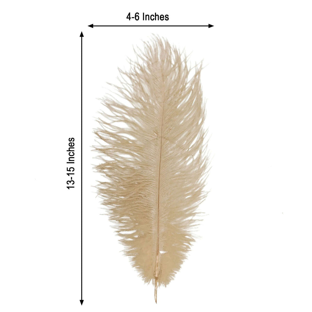 Beige Ostrich Feathers 12 Pack 13"-15" | TableclothsFactory