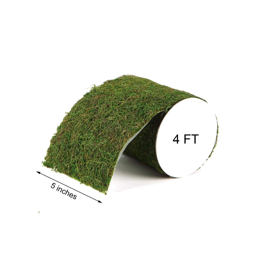Green Preserved Moss Ribbon Rolls